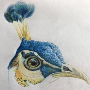 临沂画画达人