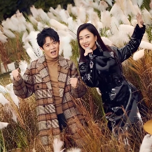 我有毛驴从不骑 