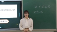 表里的生物 第二课时.mp4