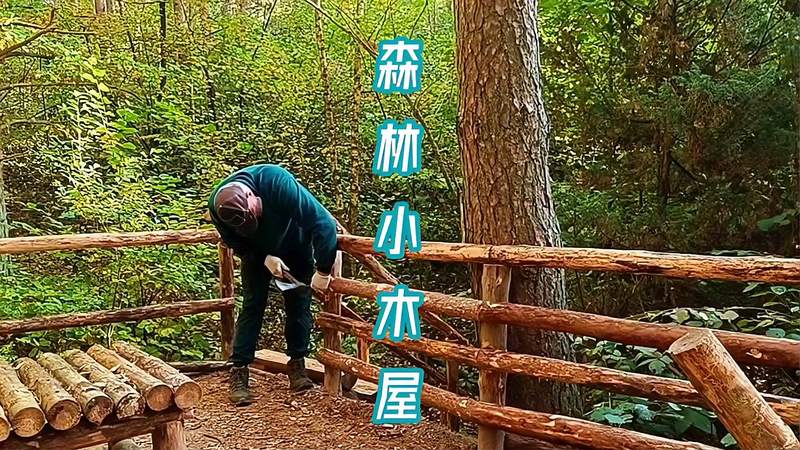 荒野建造 在森林搭建温馨小木屋