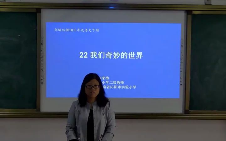三下:《我们奇妙的世界》(含课件教案) 名师优质课 公开课 教学实录 ...