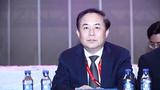 【峰会·观点】范必:在能源领域,看不见的手失效了