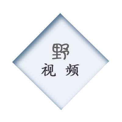 野视角 