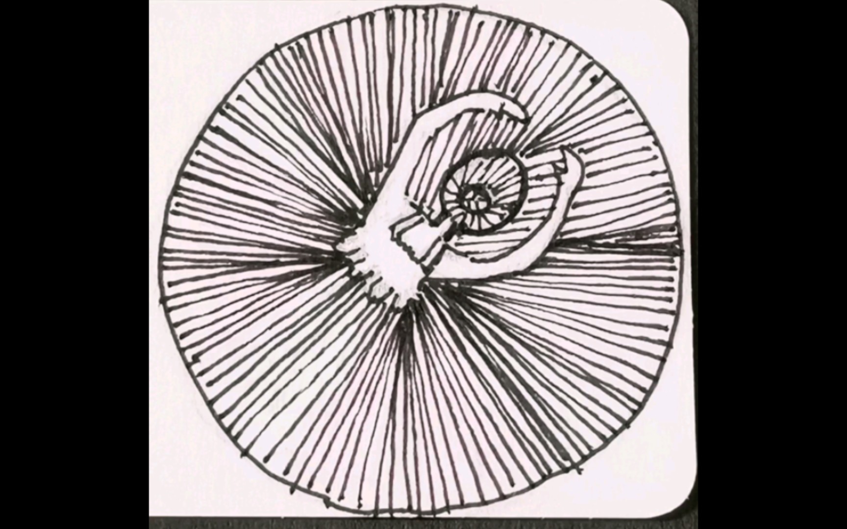 教你禅绕画100张048,清凉一夏