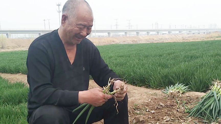 在乡镇机械厂退休的职工,一月领多少退休金? 农民大爷说出这数