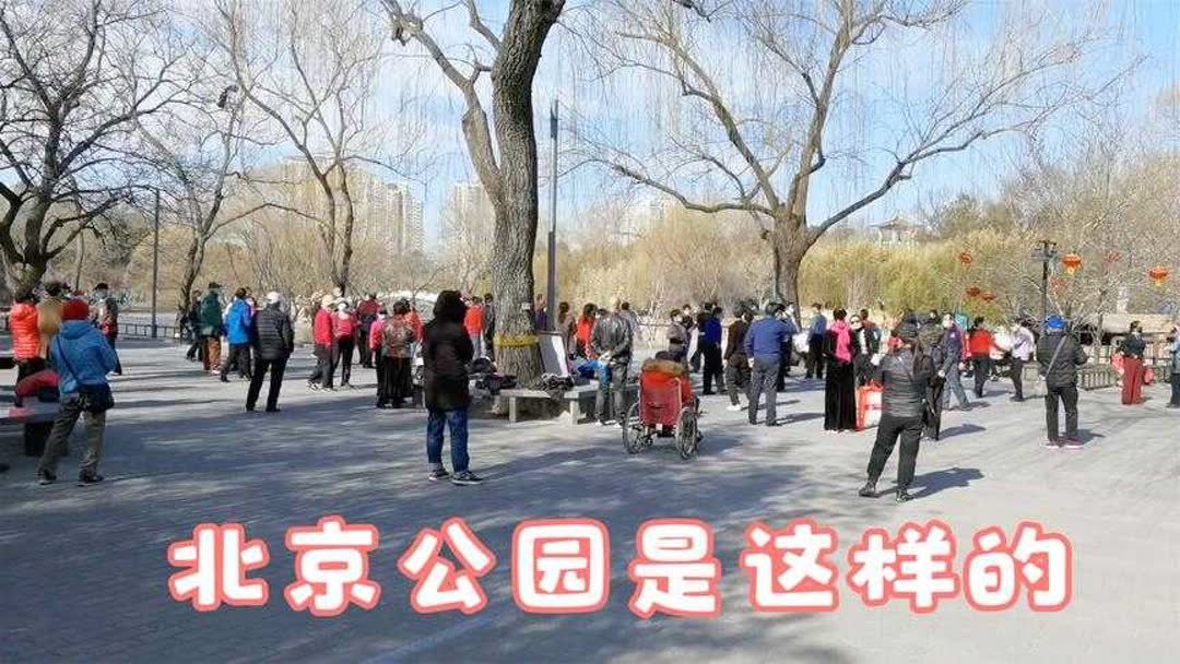 北京公园真的不一样,里面也太美了,大开眼界了。