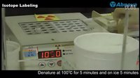 Isotope Labeling（同位素标记）