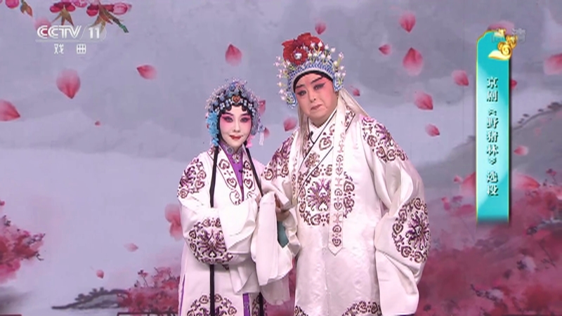 [梨园闯关我挂帅]京剧《野猪林》选段 表演:张新年 耿巧云