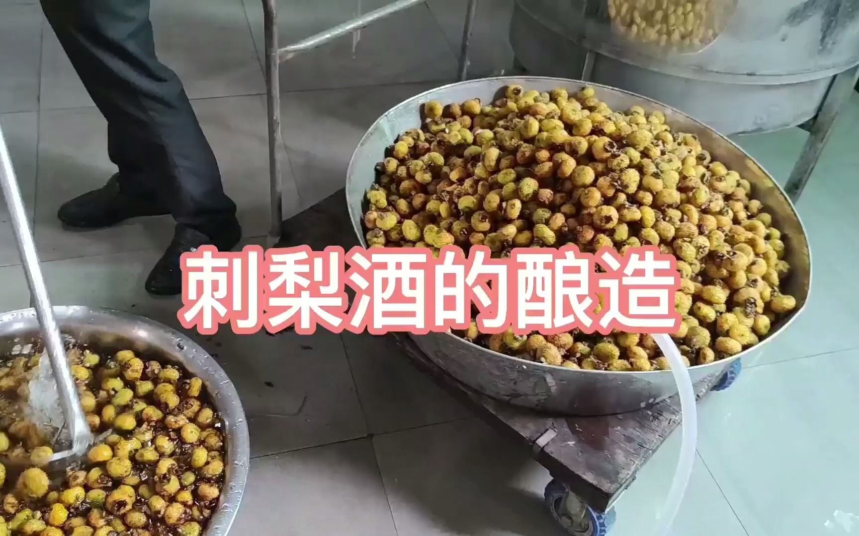刺梨酒的酿造方法,浓郁清香,和雅大技术老师一起陶醉在八月