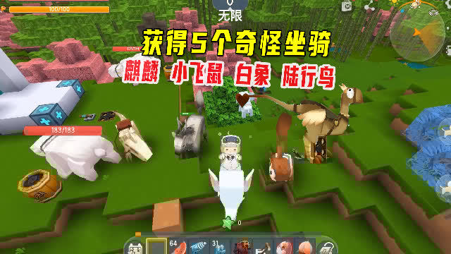 迷你世界:意外获得5个奇怪坐骑,麒麟小飞鼠白象陆行鸟来了