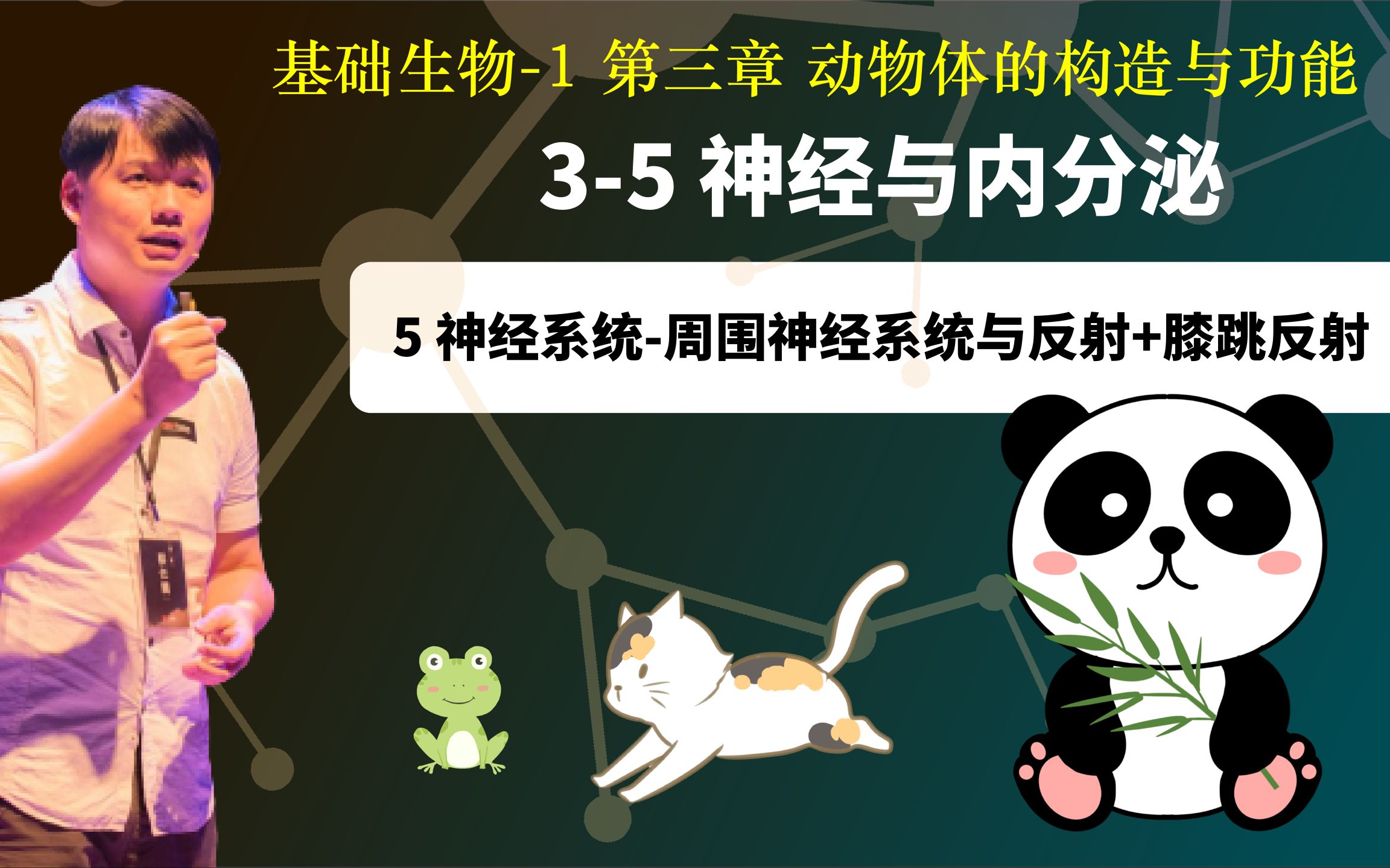 基础生物学3-5.5 人体的中枢神经系统-脊髓