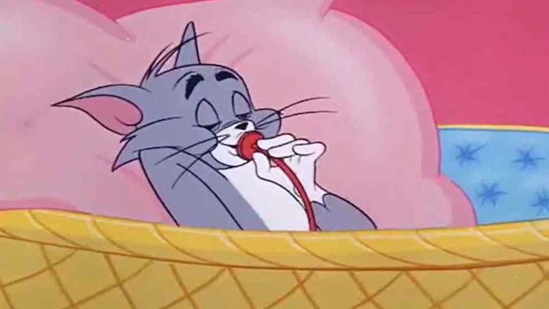 猫和老鼠搞笑动画:家里来了一只新宠物,汤姆猫顿时坐不住了