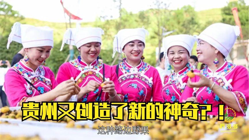 这种路边野果,为何突然爆发了?贵州又创造了一个新的神奇!