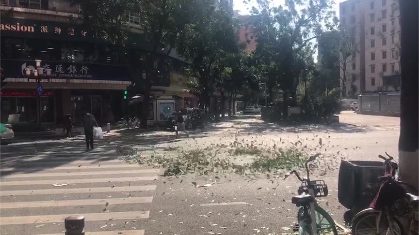 广州街头居然出现了传说中的龙卷风?