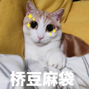 么幺喵 