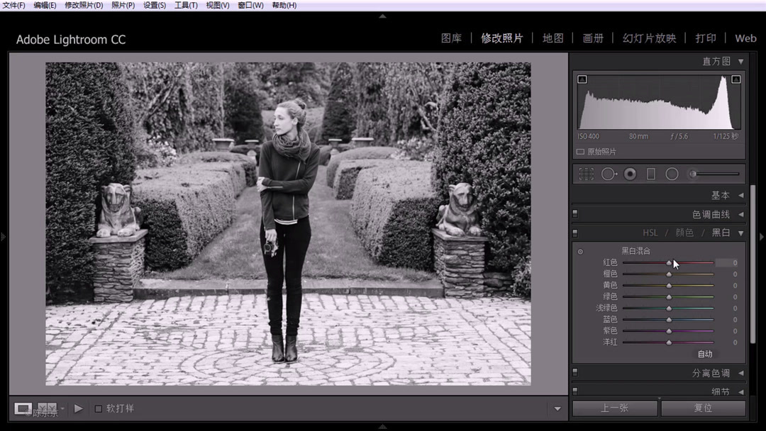 修改照片中的黑白与色调高级操作