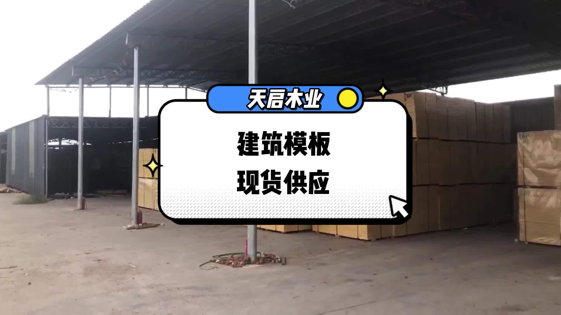 广西桉木建筑模板多少钱