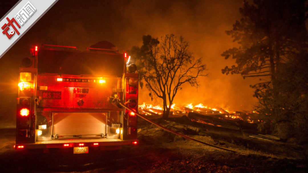 森林大火烧到了北极圈!盘点:全球都有哪些地区在“高烧”?