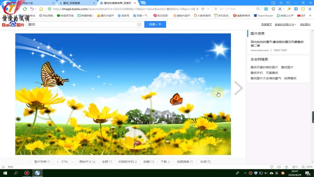 电脑基础教程23:如何用电脑下载任意图片?