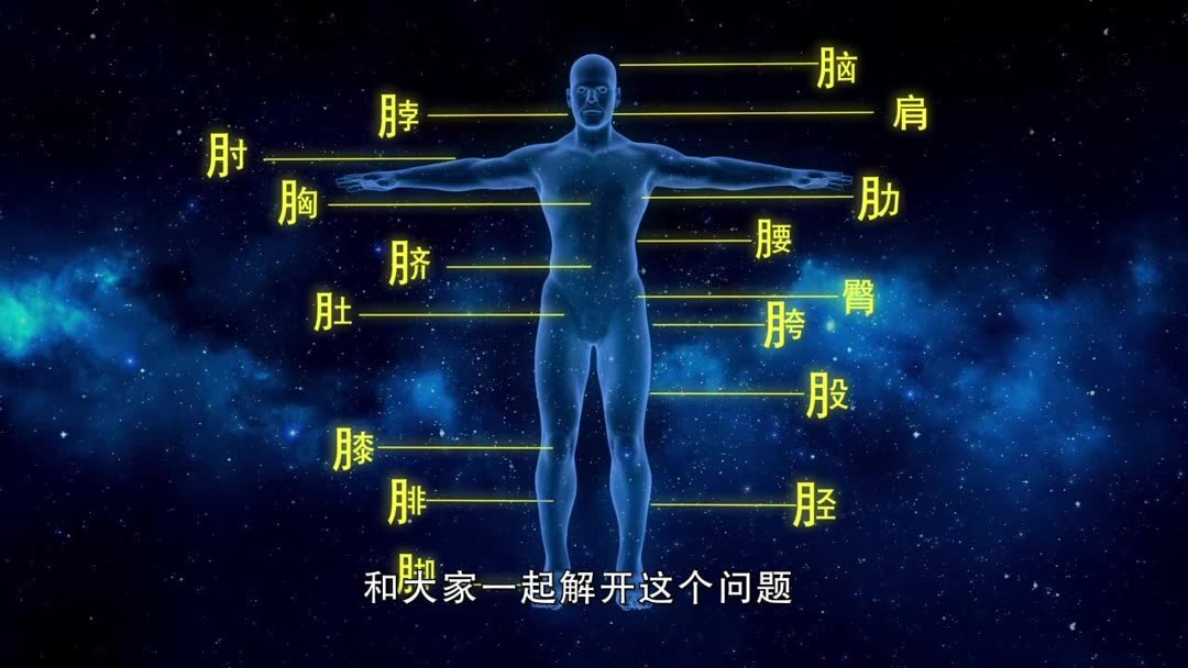 汉字微课《想象力汉字》-“肉月旁”.mp4