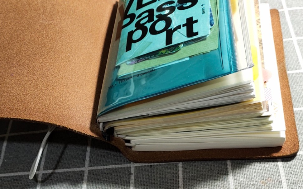 【手帐规划】2020年手帐本set up善变的我将如何使用TN?