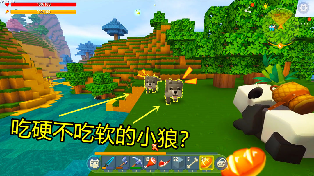 迷你世界极限生存20:小蕾见过最奇葩的狼,不爱吃羊,只爱挨打?