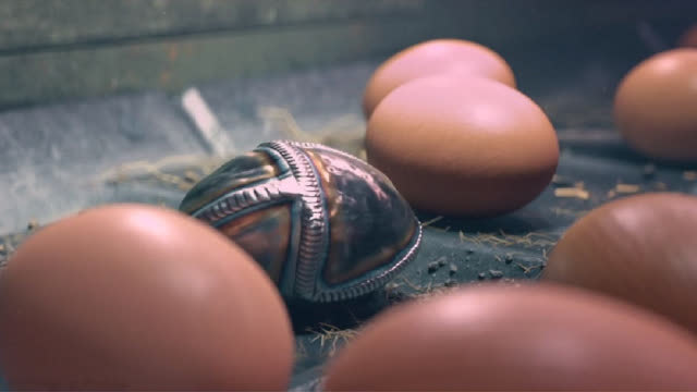 当母鸡学会编程和打铁,人类被耍的团团转!喜剧动画