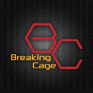 BreakingCage工作室 