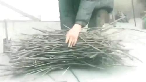 农村大叔发明了快速捆绑器,秒解决问题,真是神器!