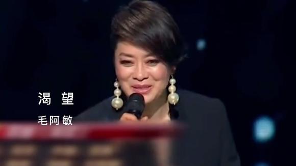 《渴望》毛阿敏一首经典歌曲感动全场
