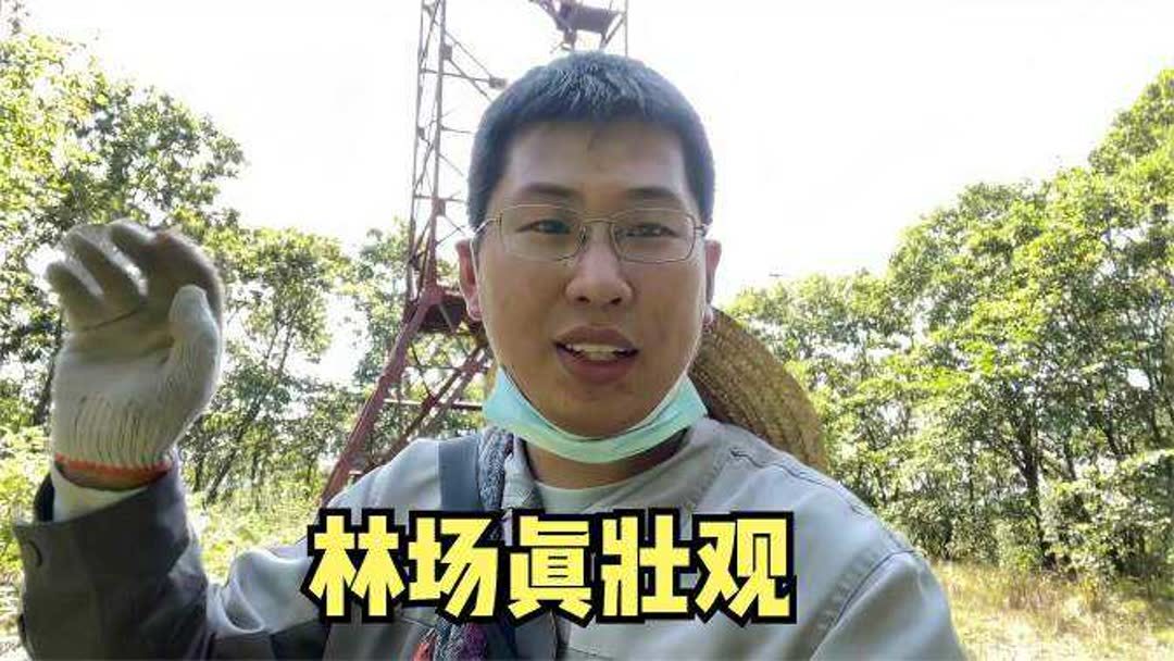 林区的森林防火塔,原来大森林这么美,小于头一次看的这么远