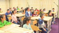 12.苏教版小学数学二年级下册《2、简单数据的收集和整理》江苏省...