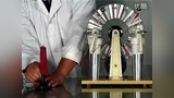 演示实验 《电场线模拟实验》