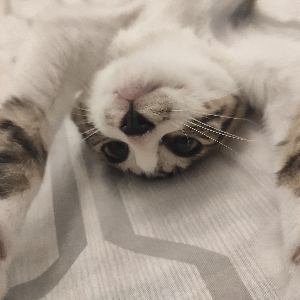 --聆听-- 