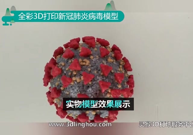...恐慌的新冠肺炎病毒!今天我们通过全彩3D打印变成实物病毒模型展示!