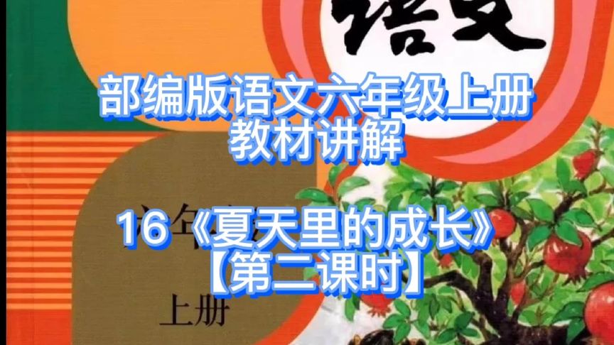 部编版语文六年级上册教材讲解～16《夏天里的成长》第二课时