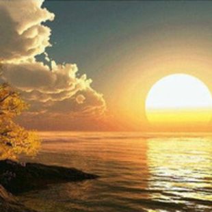 秋小风的一亩三分地 