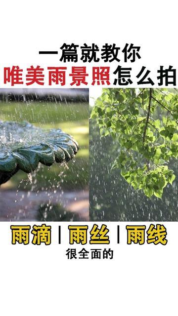 留相机型号,专属摄影教程 新手不走弯路的雨天摄影参数来啦摄影技巧...