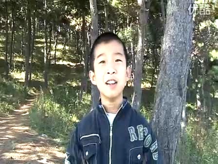 爱国演讲 国庆演讲 小学生即兴演讲