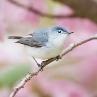 当你能飞的时候勇敢的飞 
