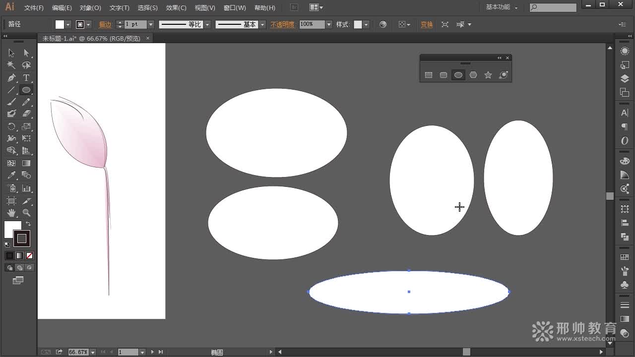 AI基础教程,AI软件学习,椭圆工具
