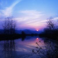 不抱希望的失望 