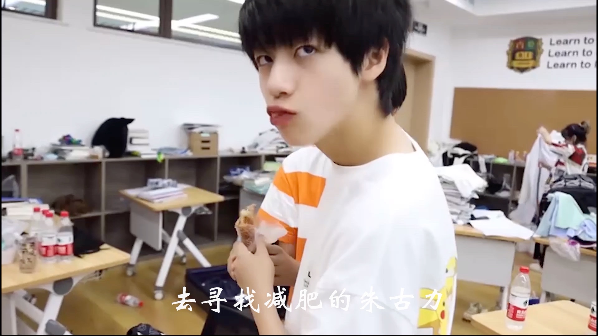 TF家族三代X《猪猪侠》