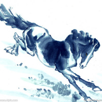 四十大道海如风 