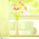 喜欢吃烤面包喵 