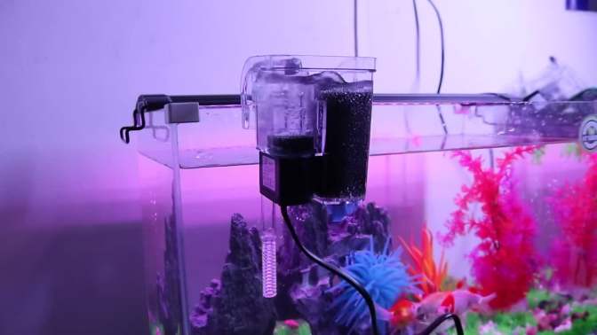 鱼缸过滤系统使用实拍