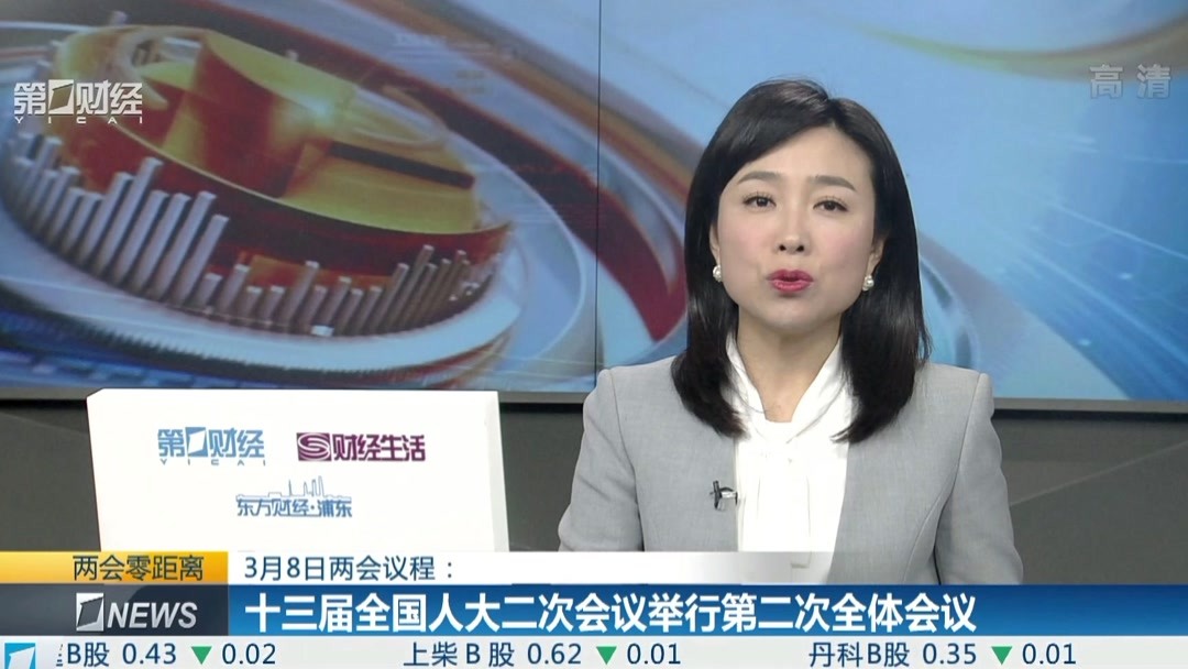 十三届全国人大二次会议举行第二次全体会议