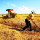 乡村田园农家记 