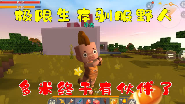 迷你世界:极限生存驯服野人,危险重重找材料,终于有了同伴