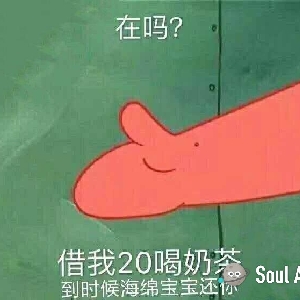 没有P股的胖子 